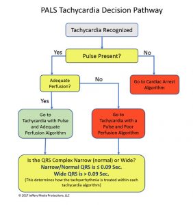 PALS Tachycardia Algorithm | Learn & Master PALS