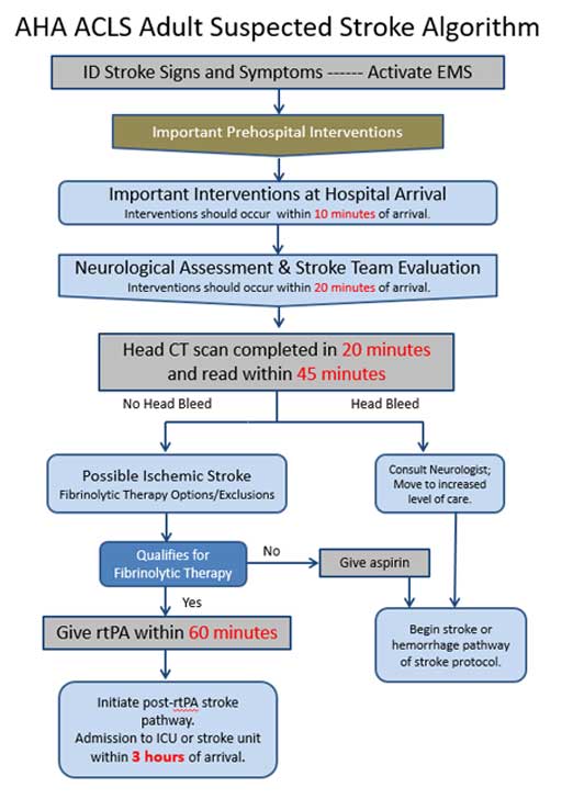 Adult Stroke Algorithm ACLS Algorithms Adult Stroke Algorithm ACLS Algorithms