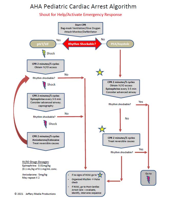 ACLS Cardiac Arrest VTach And VFib Algorithm ACLS Medical 50 OFF