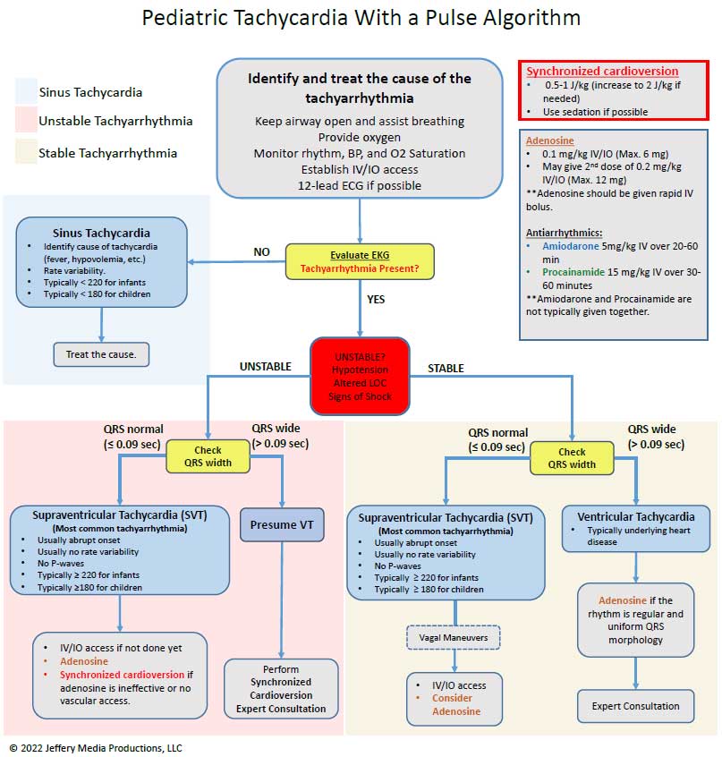 Ventricular Fibrillation Algorithm Ventricular Fibrillation Algorithm